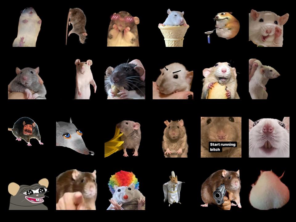 50 Rat Emotes Pack | Mouse | Static | Twitch Emotes | Discord Emotes ...