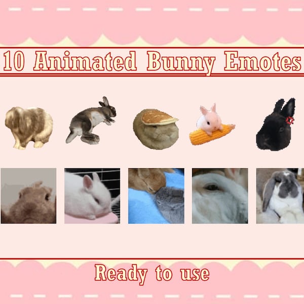 Animated Bunny Emote Rabbit Emote - Etsy