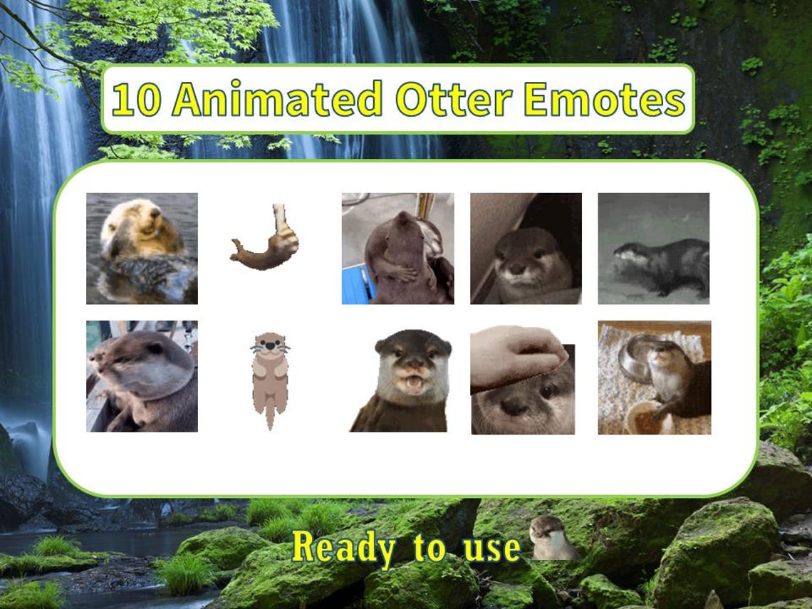 10 Animated Otter Emotes Pack | Twitch Emotes | Discord Emote | Emotes ...