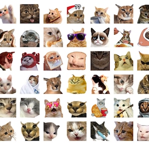 500+ Transparent Cat Emotes Mega Pack | Twitch Emotes | Discord Emotes ...