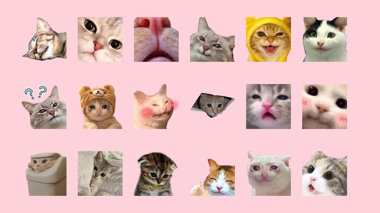 Twitch Emotes 15x Cat Memes Emote Pack Twitch Streamer, 43% OFF