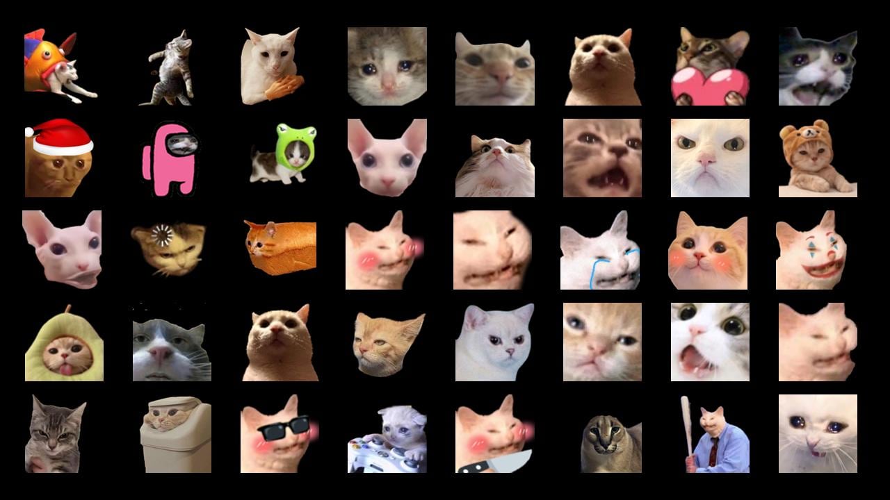 170 Cat Emotes Pack #2 | Twitch Emotes | Discord Emotes | Cute Cat ...