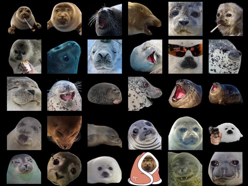 90 Seal Emotes Pack | Memes | Static | Twitch Emotes | Discord Emotes ...