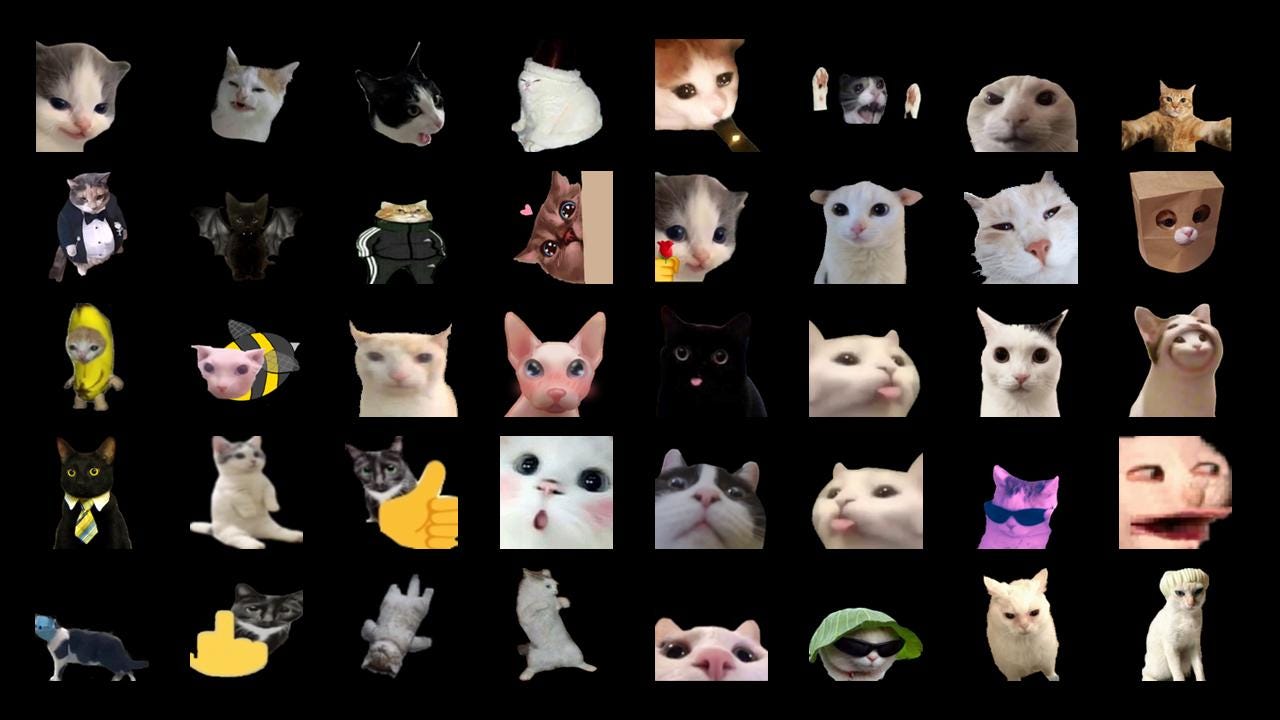 170 Cat Emotes Pack #3 | Twitch Emotes | Discord Emotes | Cute Cat ...