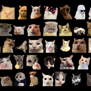 50 Cat Emotes for Kick, Tiktok, Twitch | Discord Emotes | Twitch Emote ...
