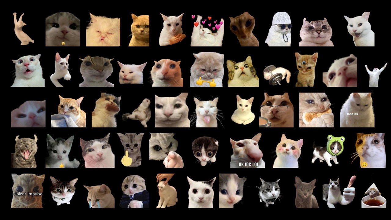 50 Cat Emotes for Kick, Tiktok, Twitch | Discord Emotes | Twitch Emote ...