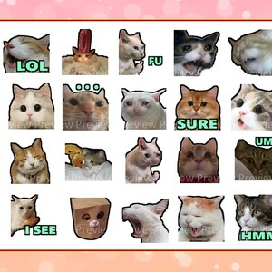 60 Funny Cat Emotes Pack for Twitch and Discord | Twitch Meme Emotes ...