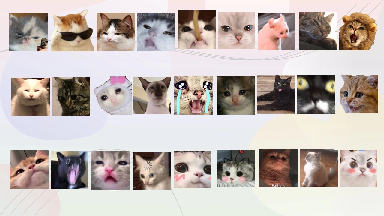 170 Cat Emotes Pack | Twitch Emotes | Discord Emotes | Cute Cat Emotes ...