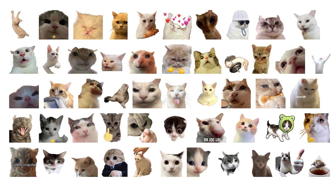 50 Cat Emotes for Kick, Tiktok, Twitch | Discord Emotes | Twitch Emote ...