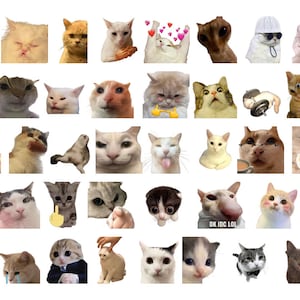 50 Cat Emotes for Kick, Tiktok, Twitch | Discord Emotes | Twitch Emote ...