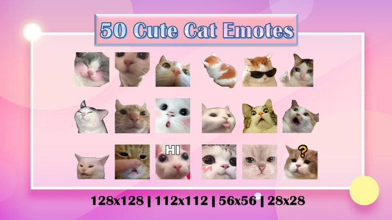 50 Emotes de gatos lindos para Twitch y Discord / Twitch Meme Emotes ...