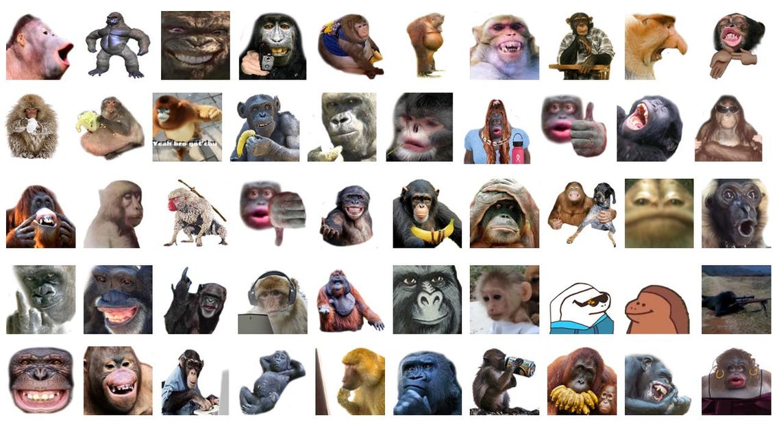 170 Monkey Emotes Mega Pack | Twitch Emotes | Discord Emotes | Text ...