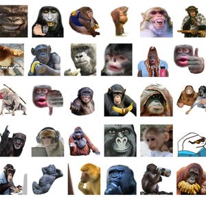 170 Monkey Emotes Mega Pack | Twitch Emotes | Discord Emotes | Text ...
