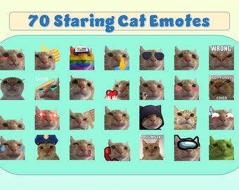 70 Staring Cats Emotes for Twitch and Discord | Twitch Meme Emotes ...