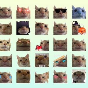 70 Staring Cats Emotes for Twitch and Discord | Twitch Meme Emotes ...