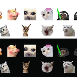 170 Cat Emotes Pack #2 | Twitch Emotes | Discord Emotes | Cute Cat ...