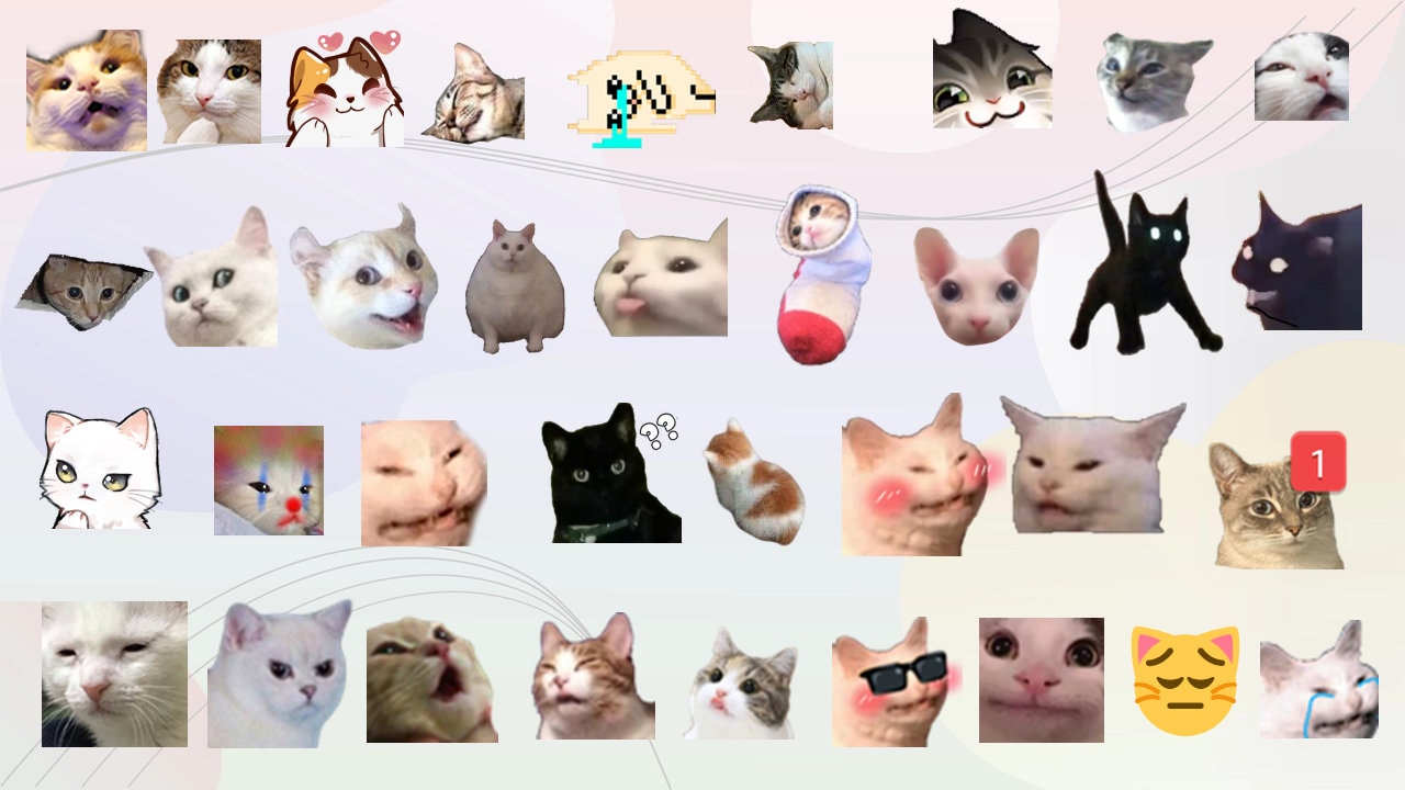 170 Cat Emotes Pack Twitch Emotes Discord Emotes Cute Cat Emotes for ...