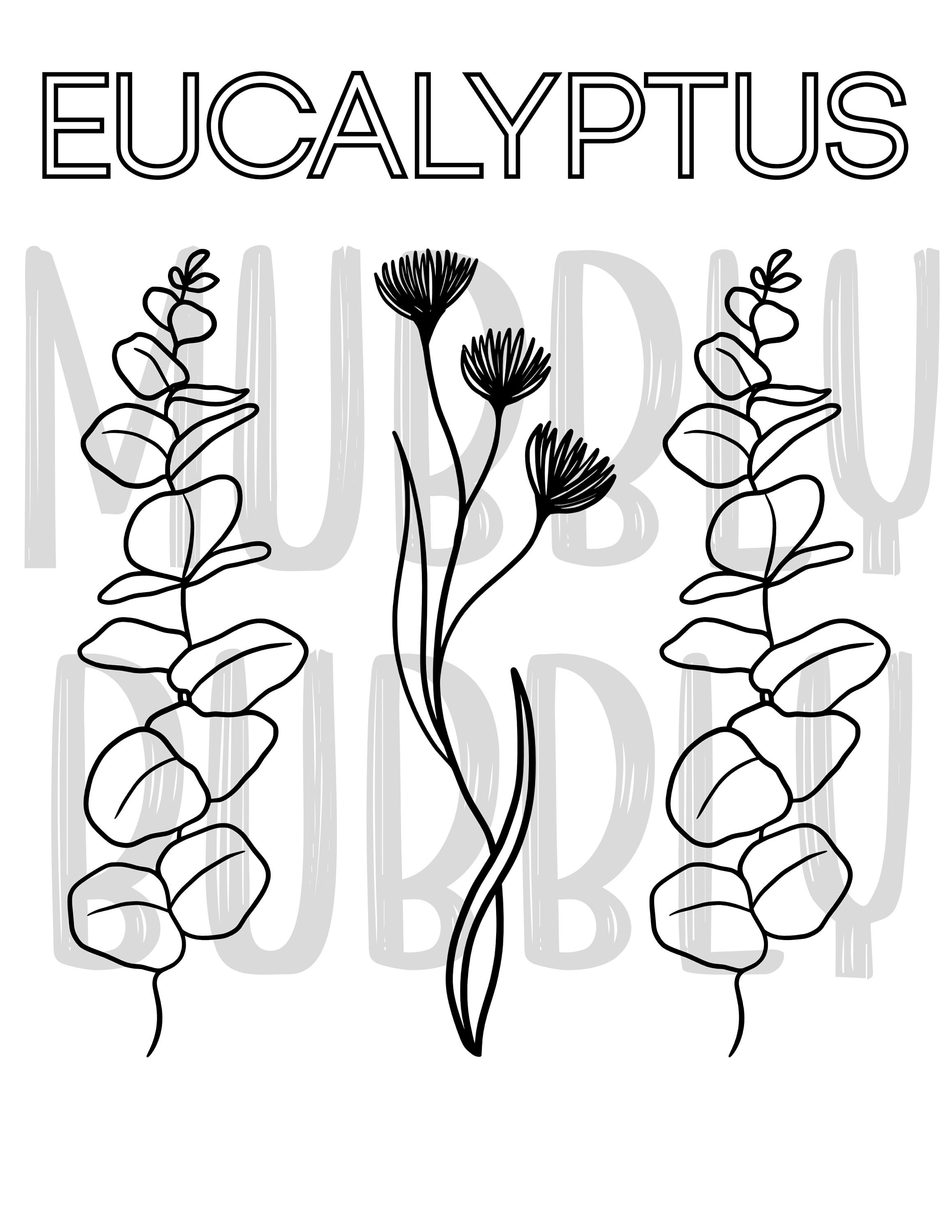 10 Floral Coloring Pages Digital Download - Etsy