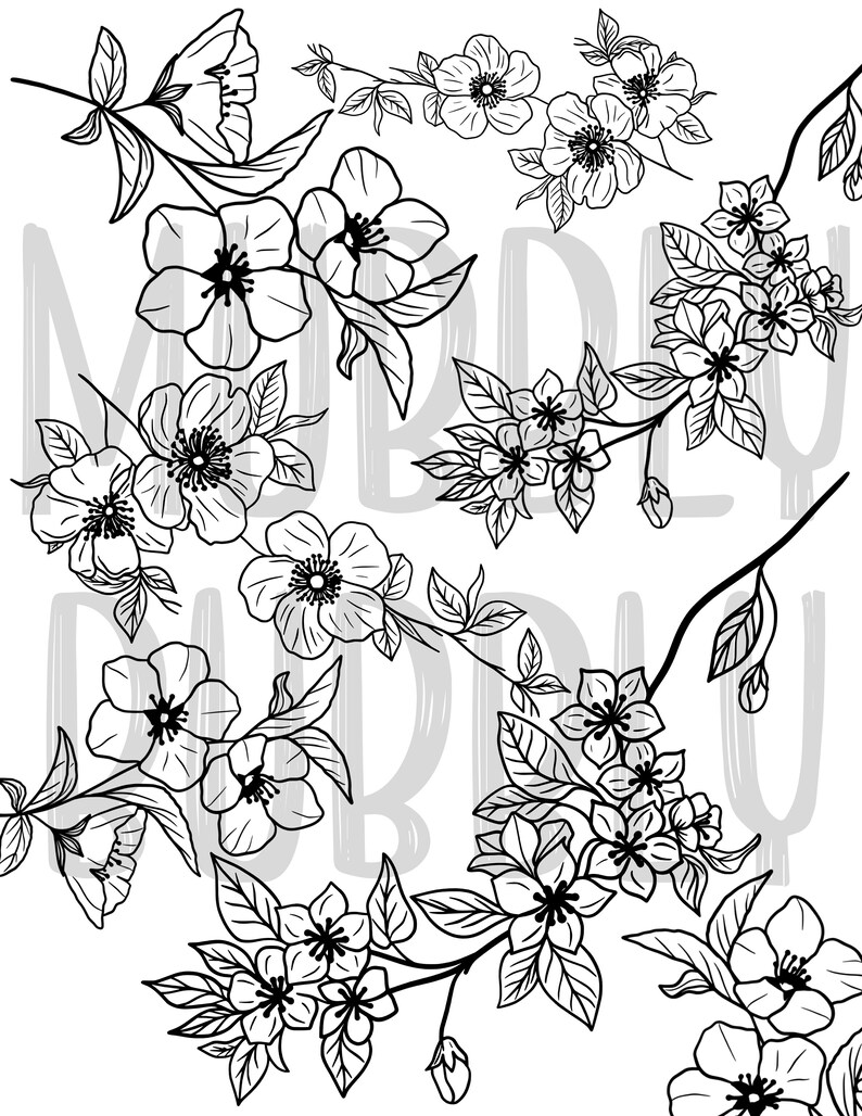 10 Floral Coloring Pages Digital Download - Etsy