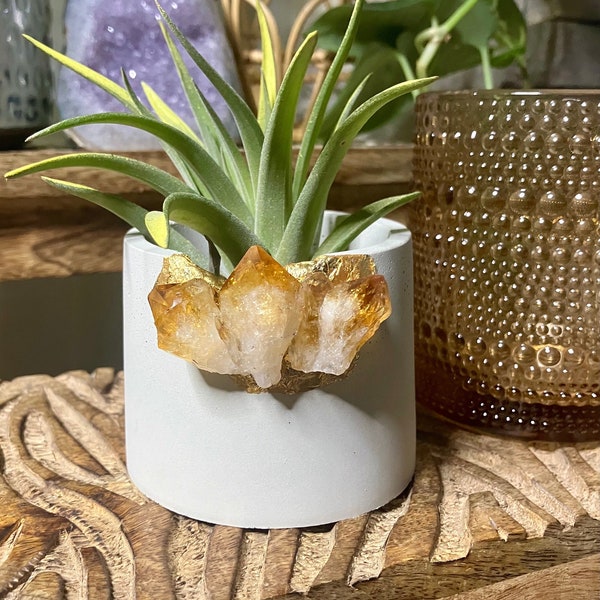 Crystal Planter - Etsy