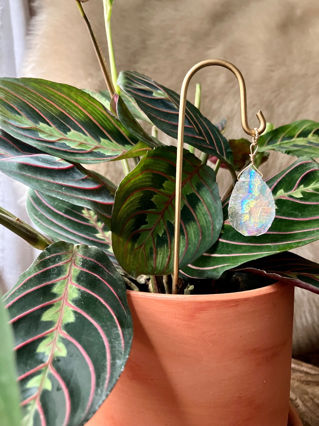 Rainbow Aura Plant Stake, Plant Accessories, Plant Décor, Plant Stake ...
