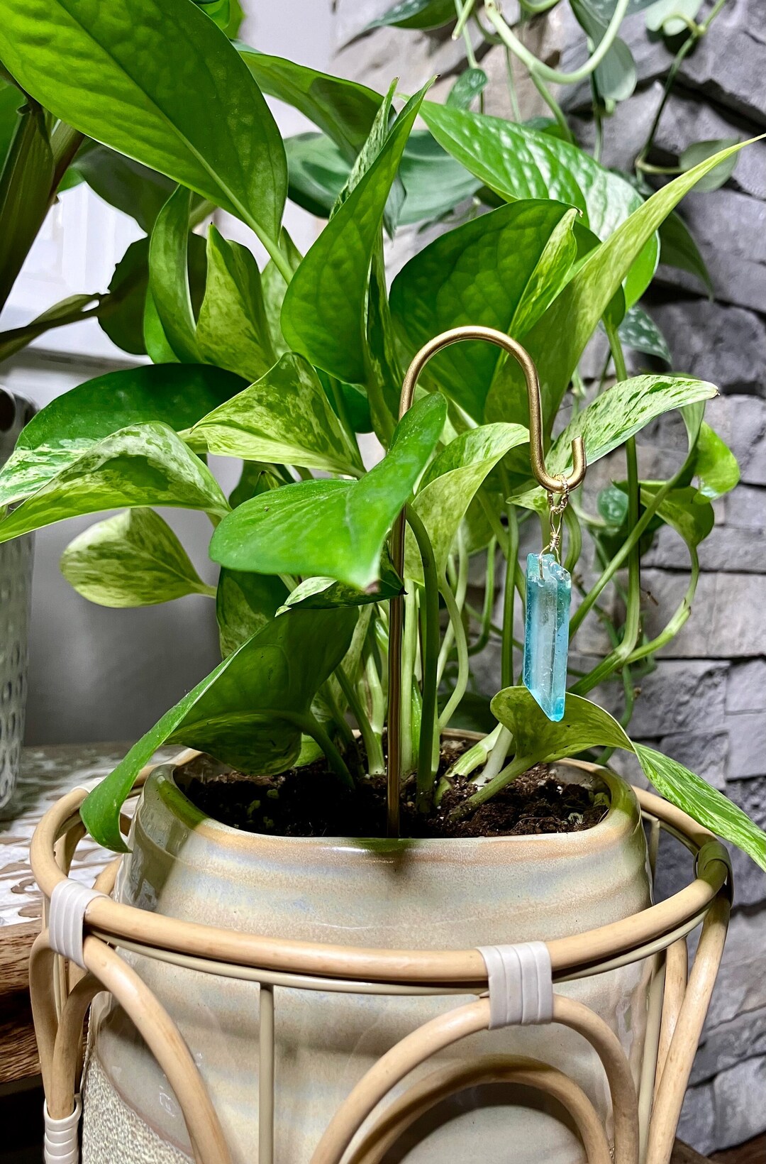 Aqua Aura Plant Stake, Plant Accessories, Plant Stake Decorative, Plant ...