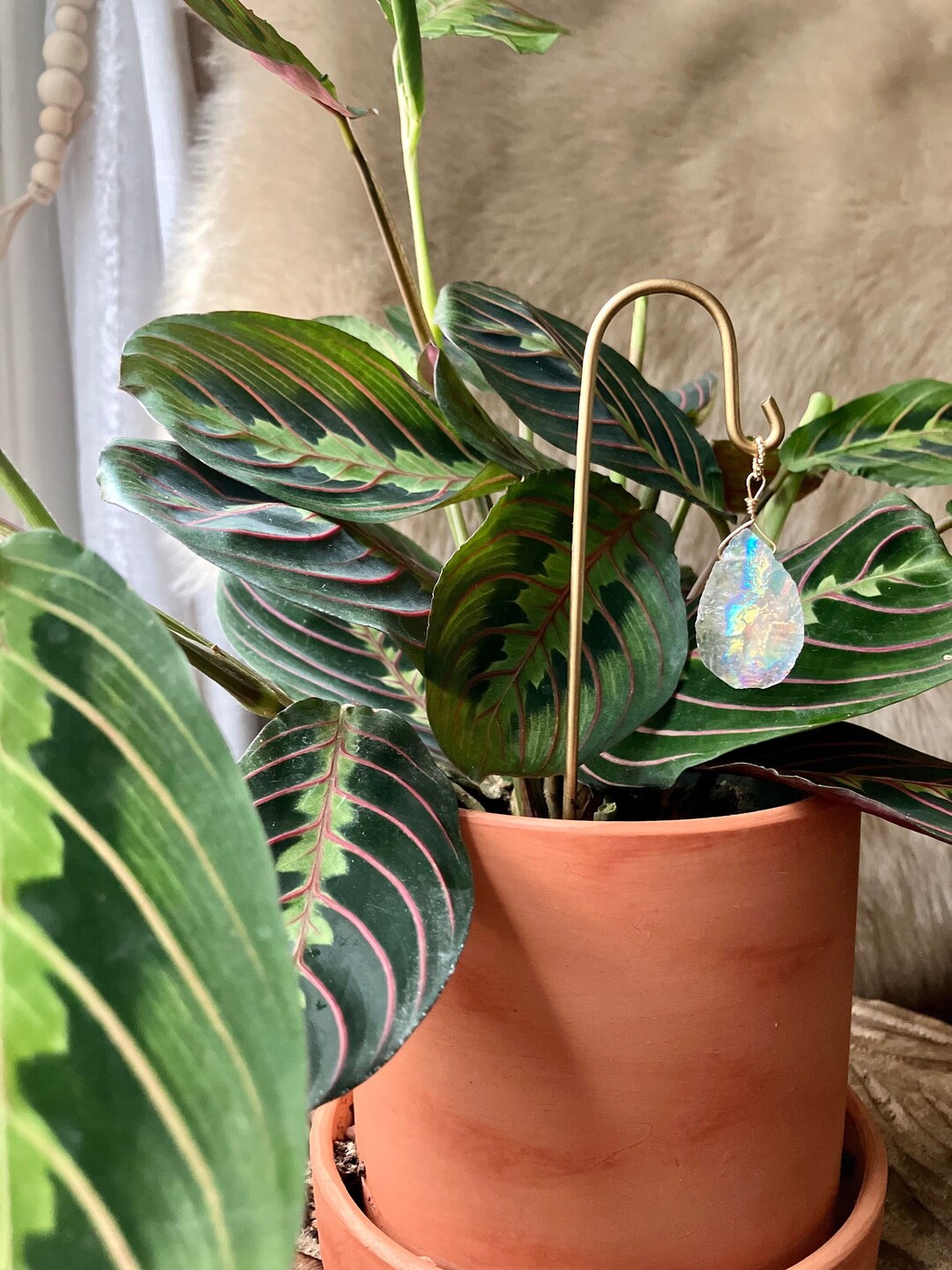 Rainbow Aura Plant Stake Plant Accessories Plant Décor - Etsy