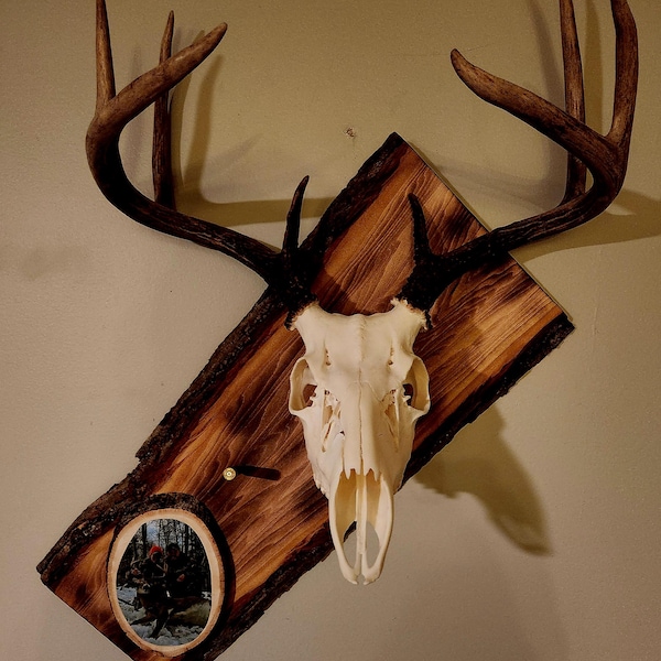 European Mount - Etsy