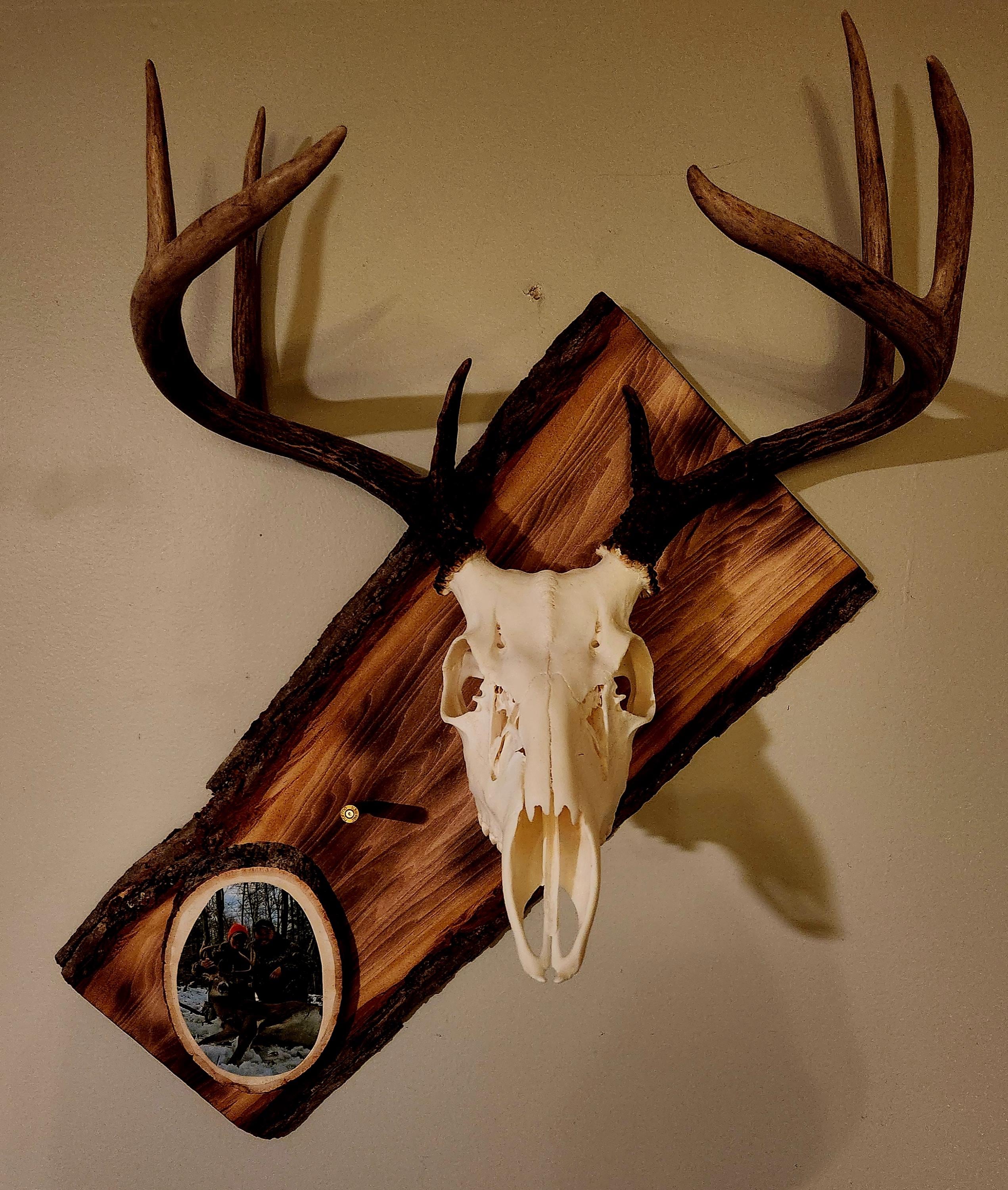 Custom European Mount Plaque - Etsy