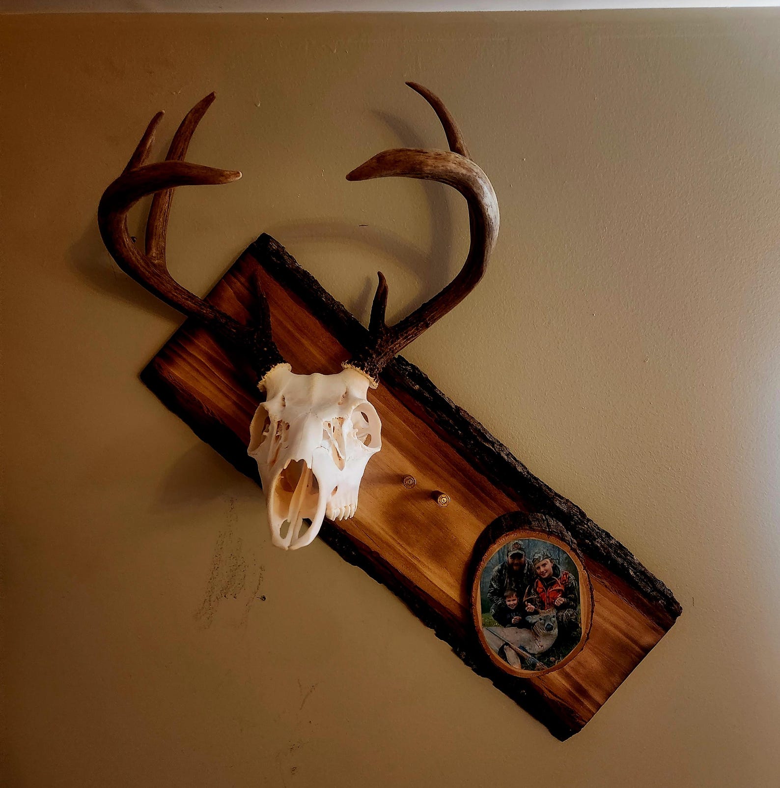 Custom European Mount Plaque - Etsy