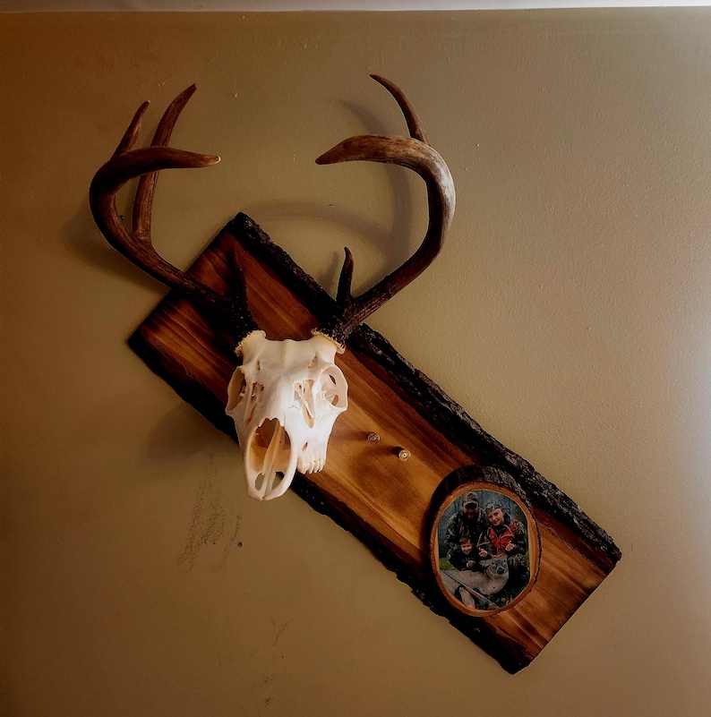 Custom European Mount Plaque - Etsy