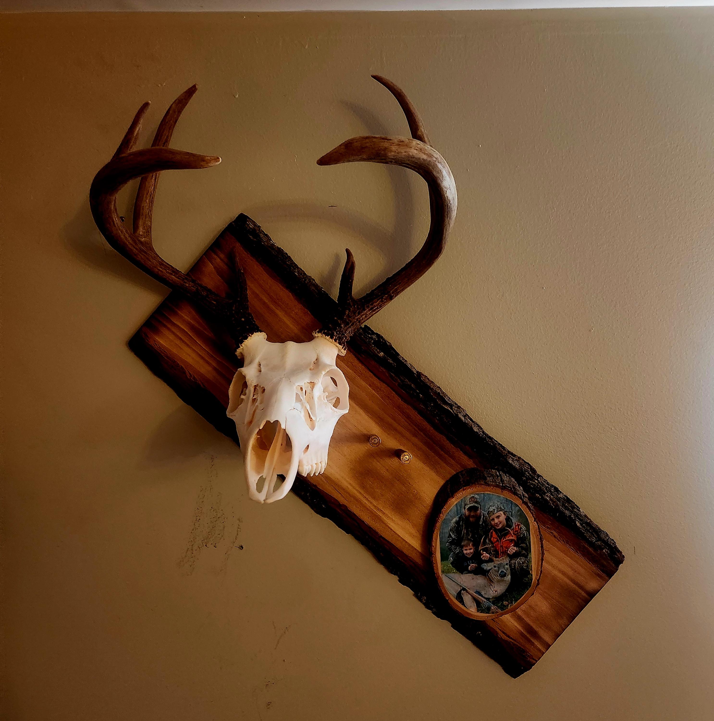 Custom European Mount Plaque - Etsy