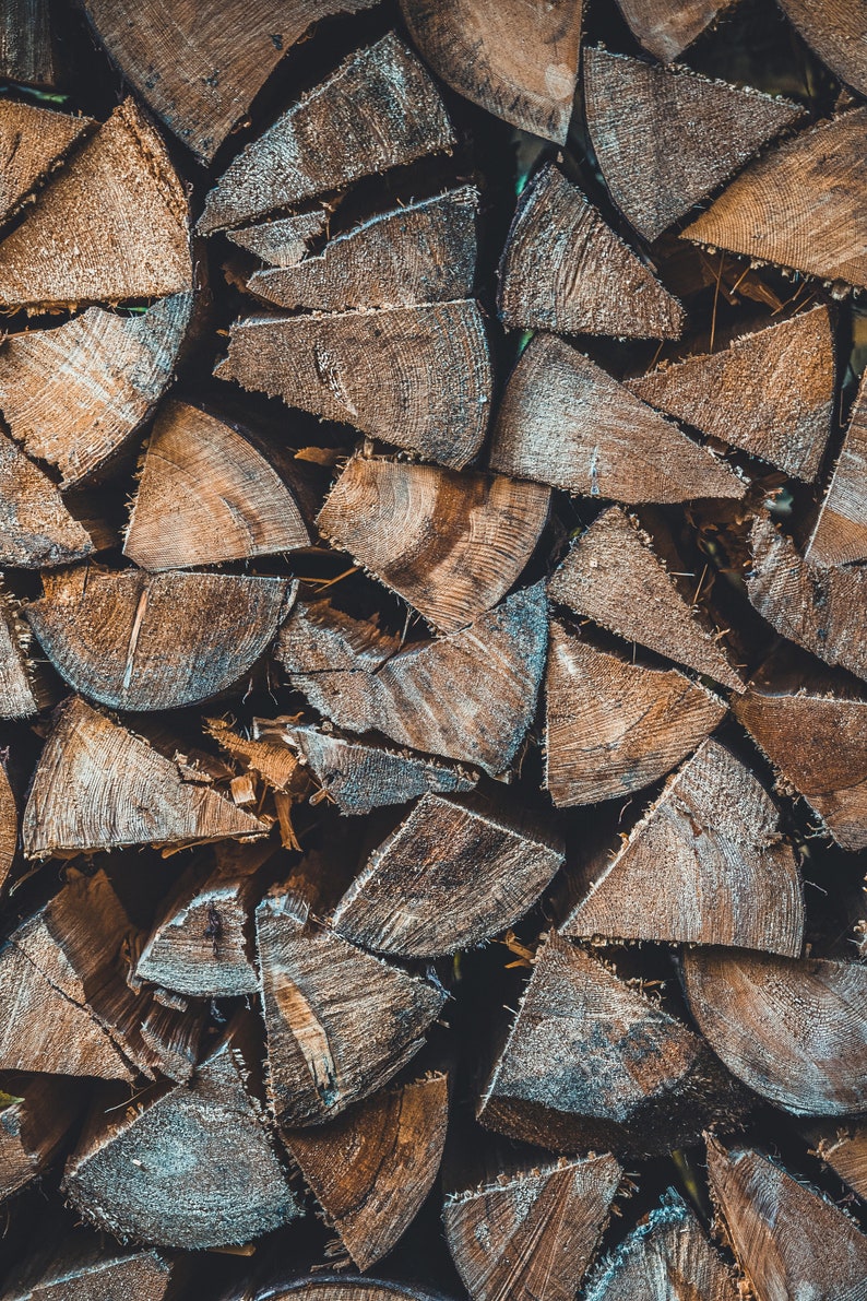 Trunk Fragments Poster - Etsy