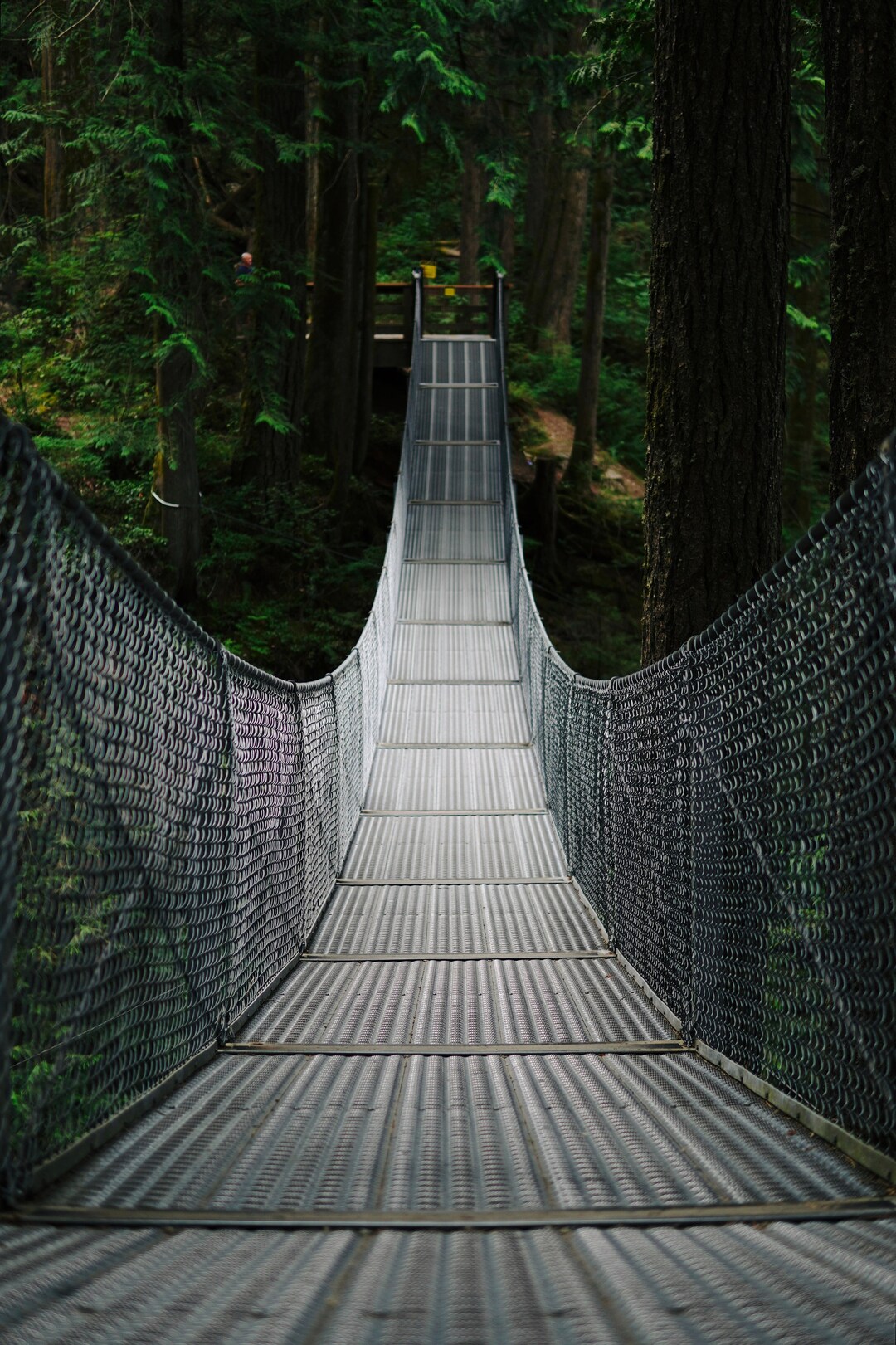 Wooded Traverse Poster - Etsy