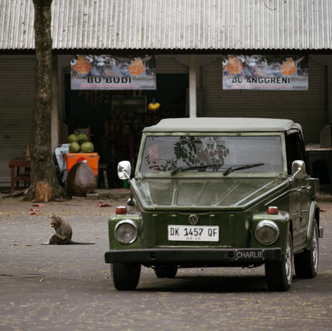 Meeting on Asphalt Poster - Etsy