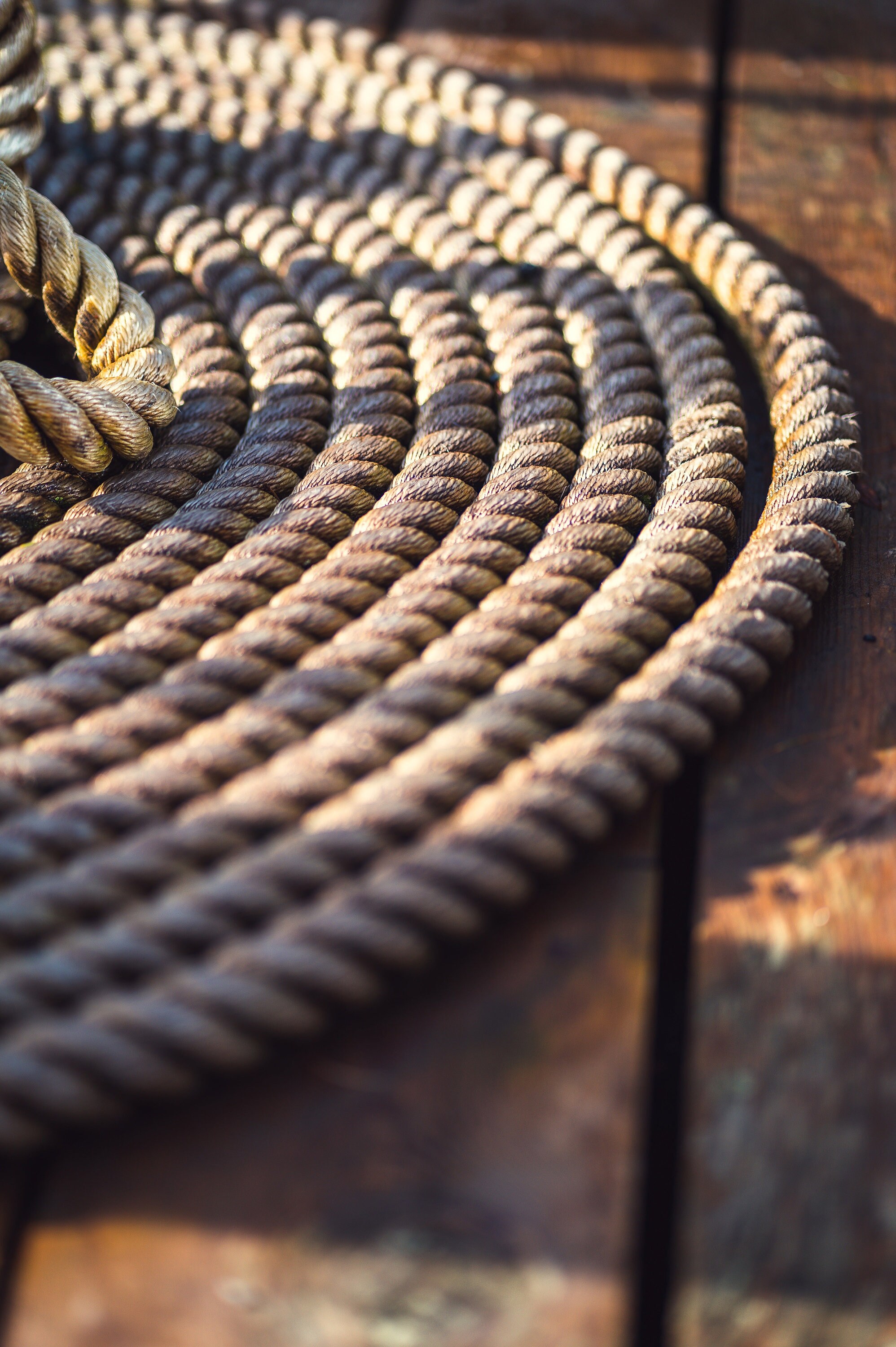 Coastal Ropes Portrait Poster - Etsy