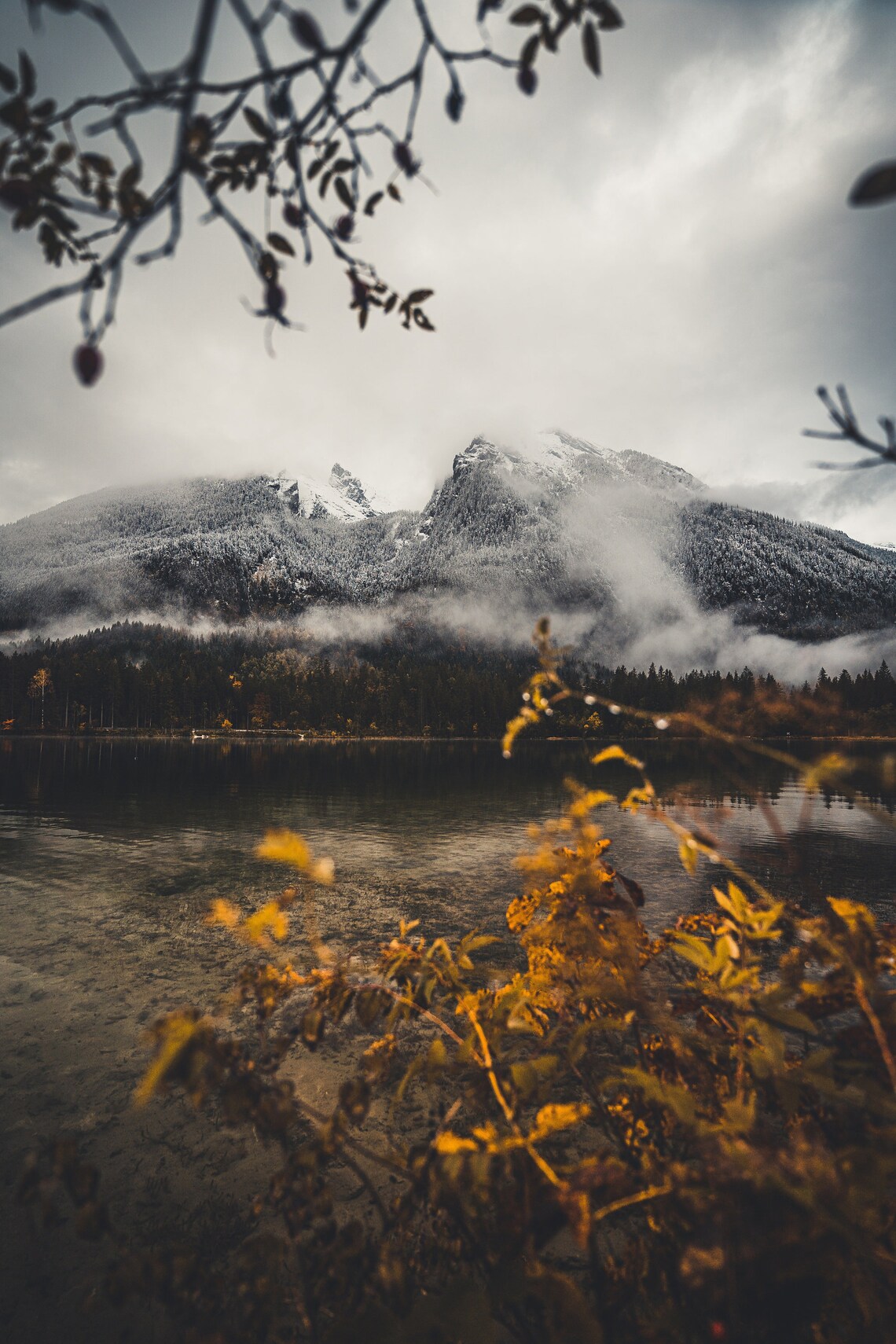 Among Summits and Fog Poster - Etsy