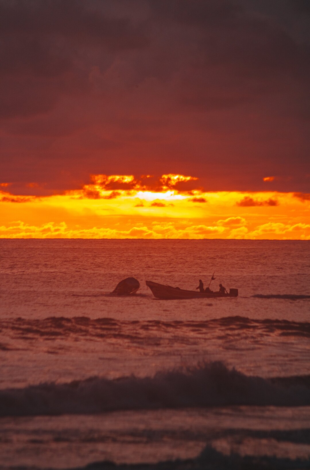 Golden Horizons Poster - Etsy