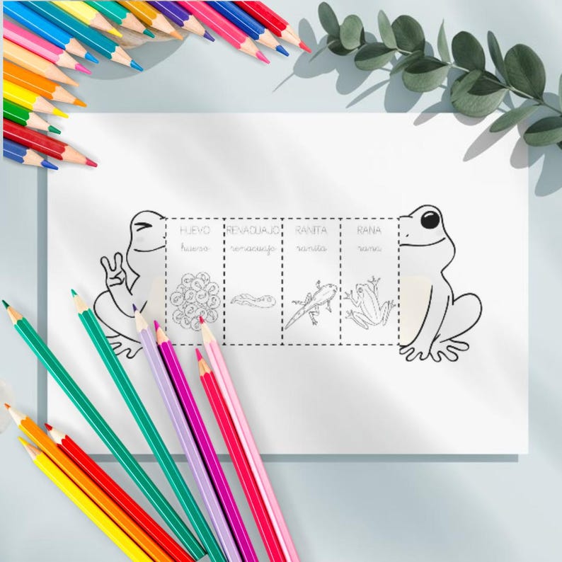 PDF - the Frog and Tadpole Life Cycle Project: Rivers, Lakes ...