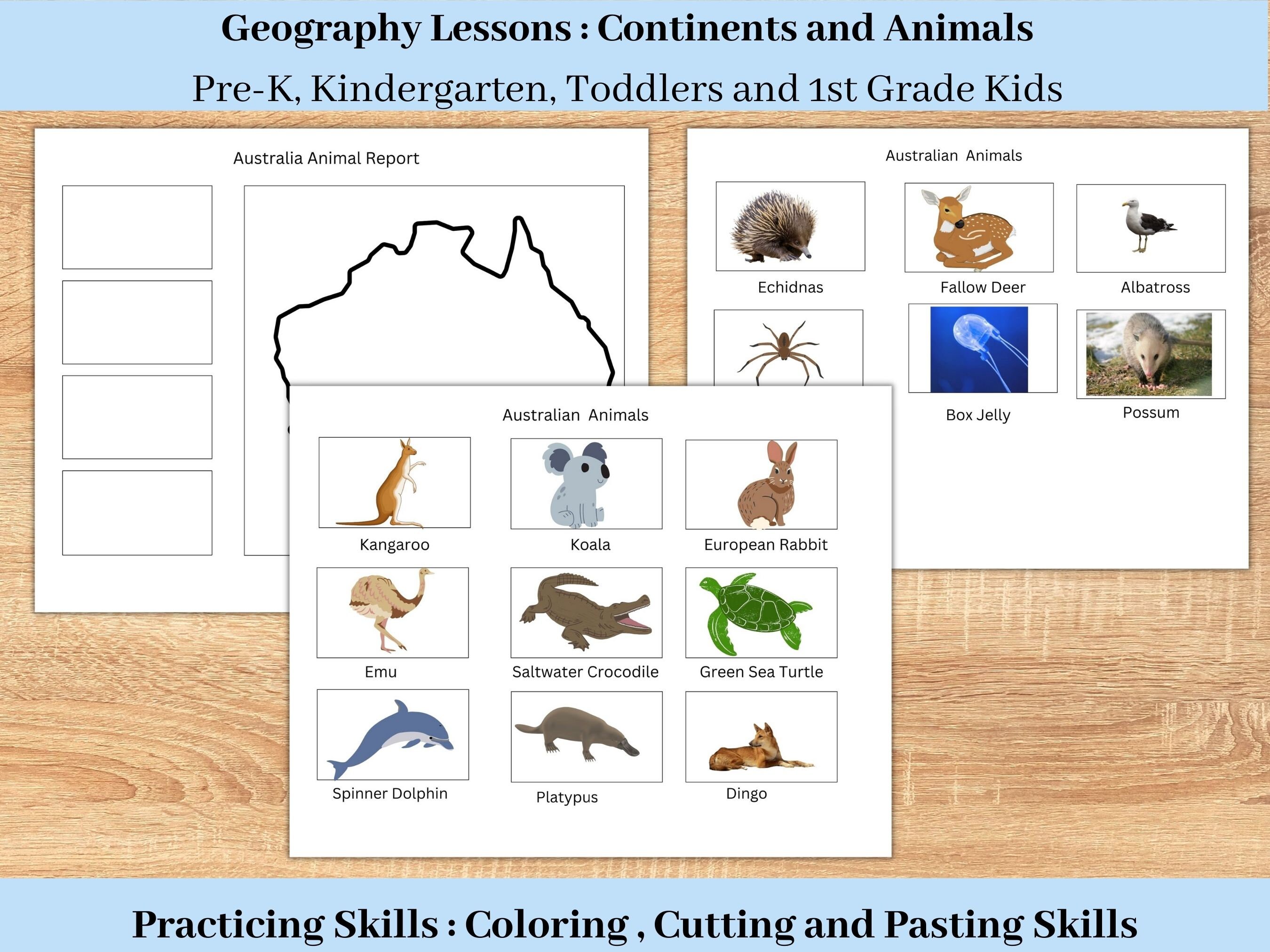 Australia Animals Report, Geography Printable for Toddlers and Pre-k ...