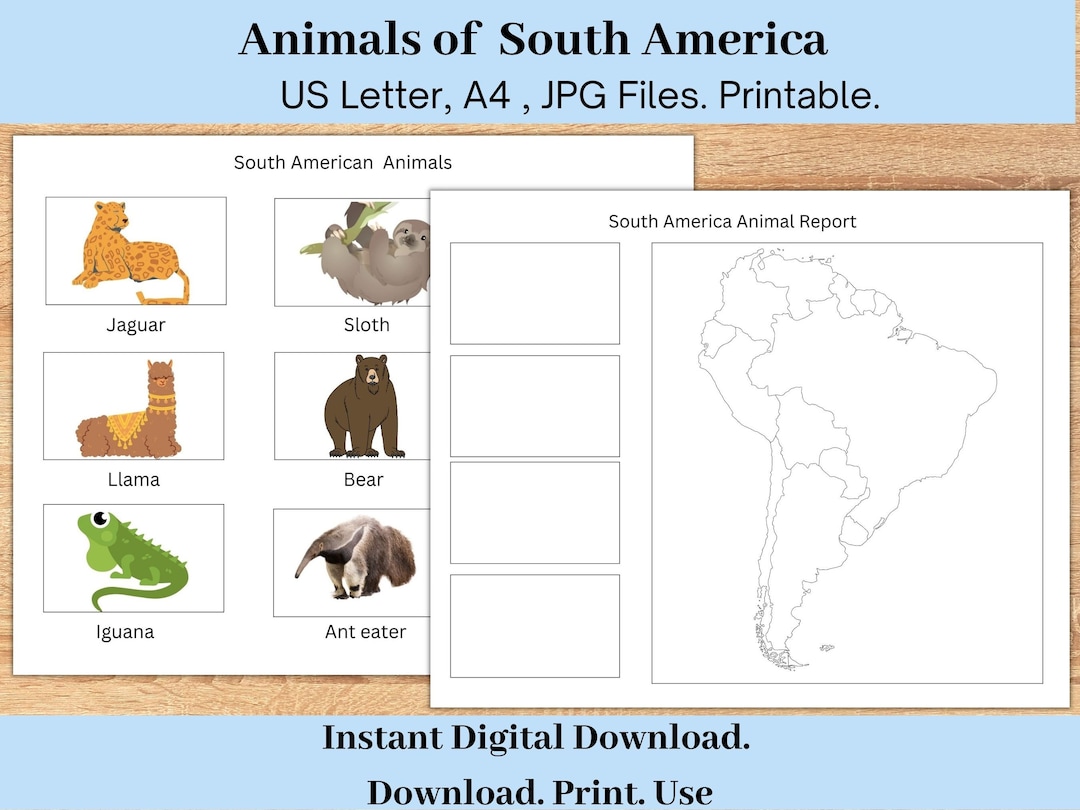 South America Animal Report, Geography Printable for Toddlers Pre-k ...