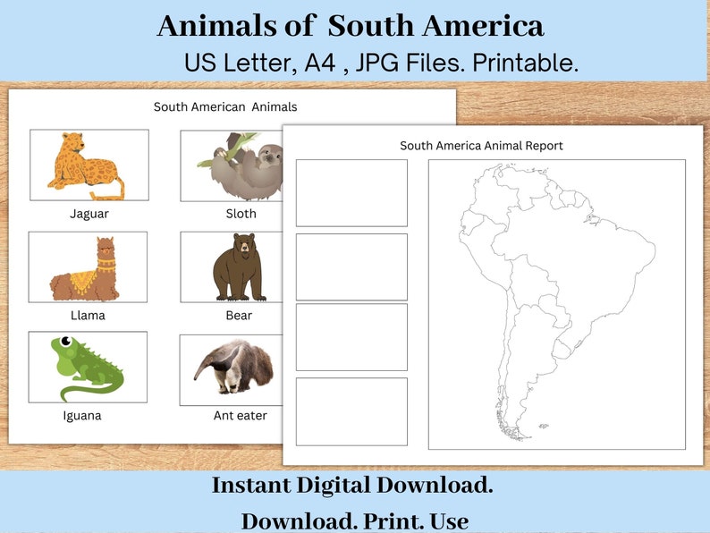 South America Animal Report, Geography Printable for Toddlers Pre-k ...