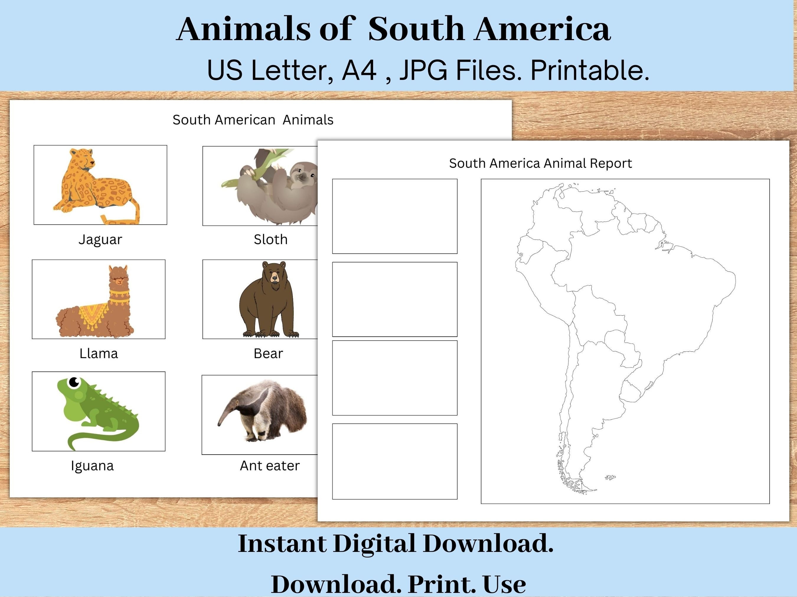 South America Animal Report, Geography Printable for Toddlers Pre-k ...