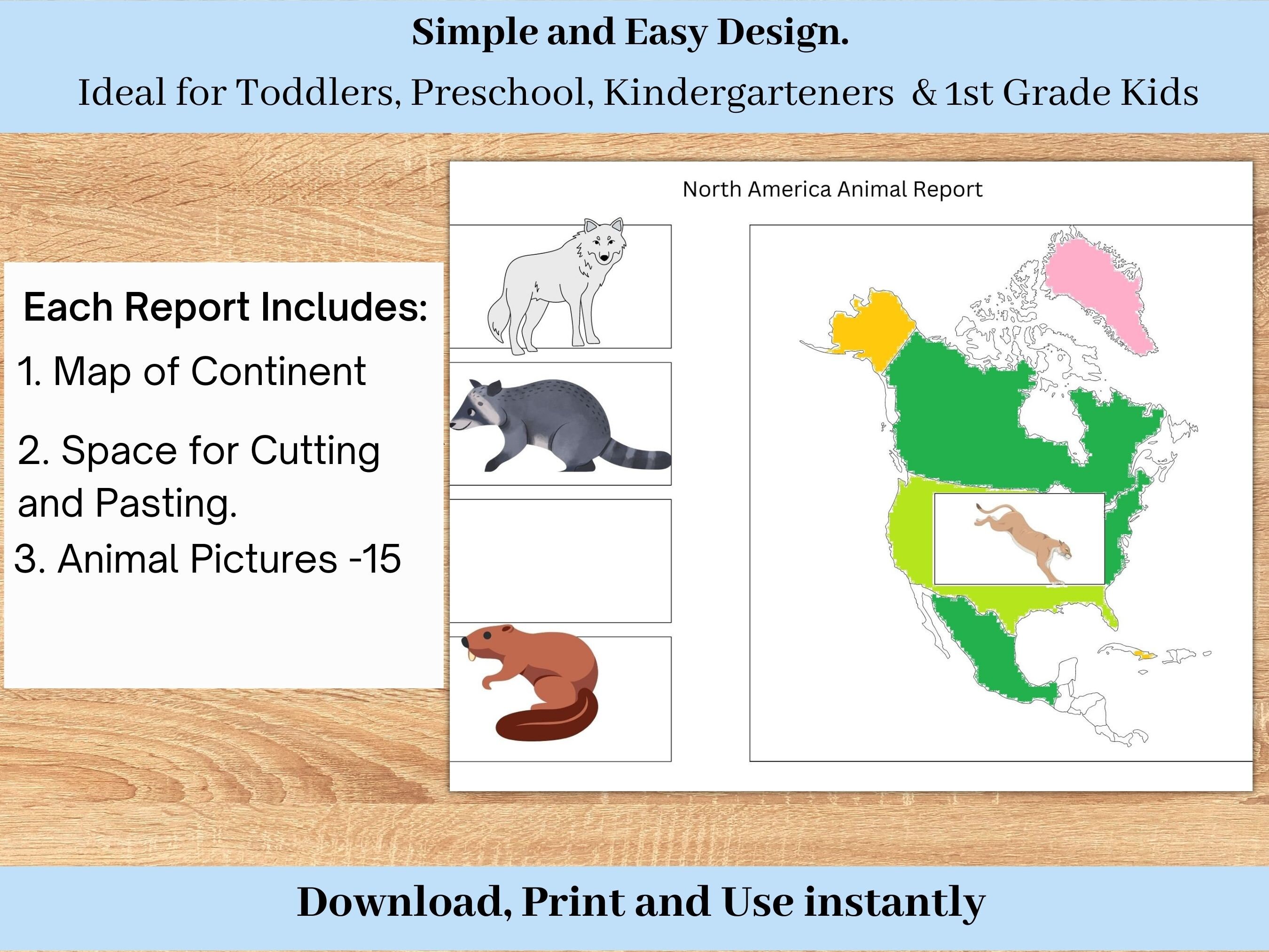 Simple Animal Report