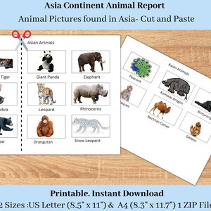 Asia Animal Report, Geography Printable for Toddlers Pre-k, Geography ...