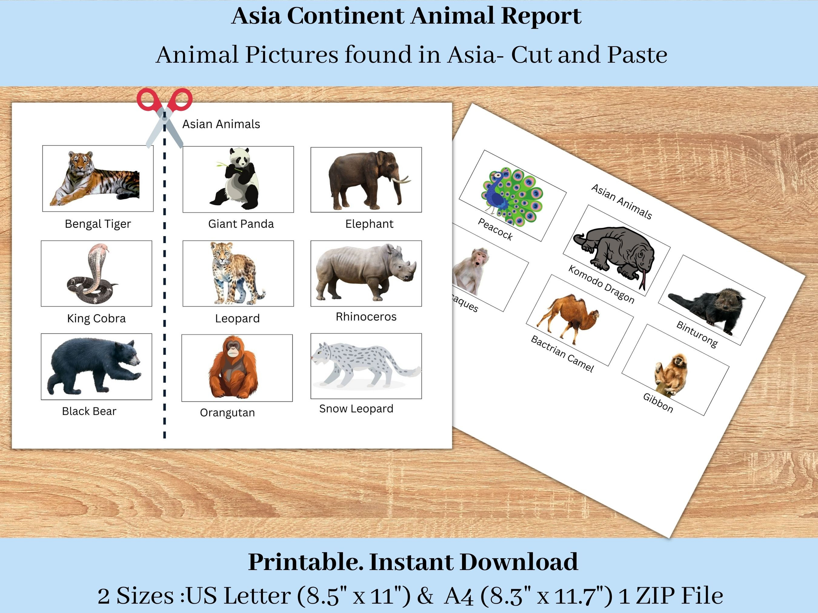 Asia Animal Report, Geography Printable for Toddlers Pre-k, Geography ...