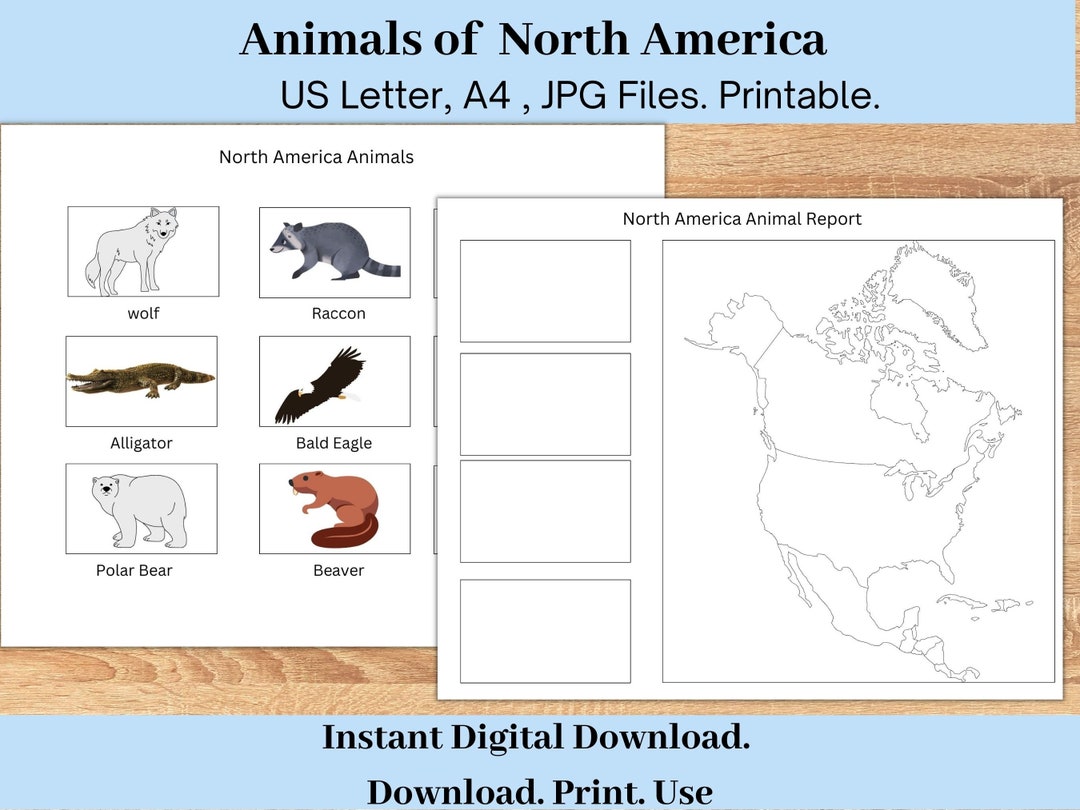 North America Animal Report, Geography Printable for Toddlers Pre-k ...