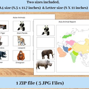 Asia Animal Report, Geography Printable for Toddlers Pre-k, Geography ...