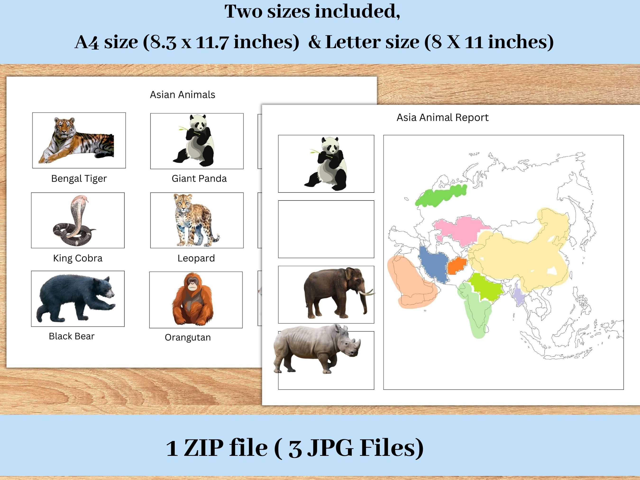 Asia Animal Report, Geography Printable for Toddlers Pre-k, Geography ...