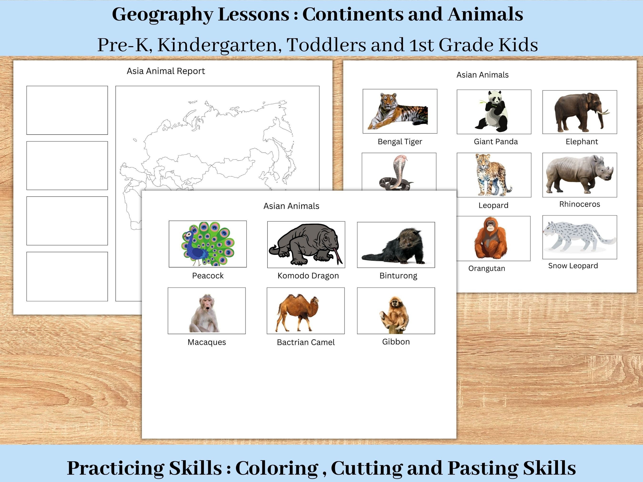 Asia Animal Report, Geography Printable for Toddlers Pre-k, Geography ...